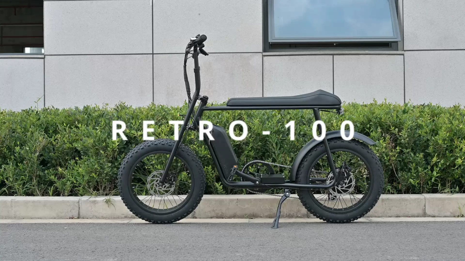 2023 Mario Ebike Retro Mid Drive Motor Central Motor 250w 500w Mountain ...