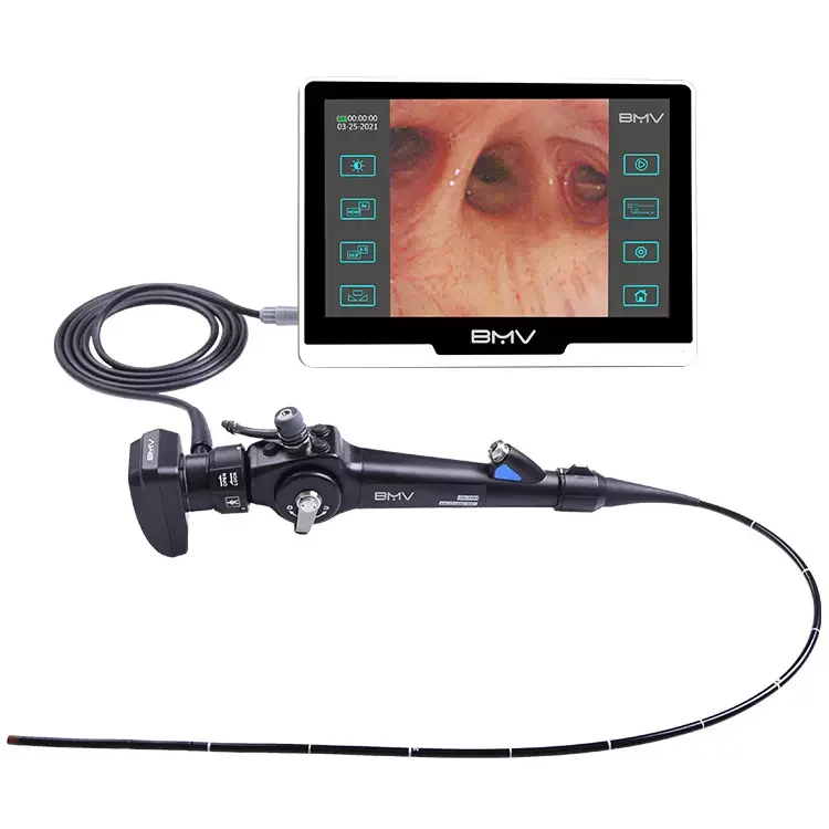Flexible Veterinary Gastroscope Endoscope for Cat, Dog, Horse & Dolphin