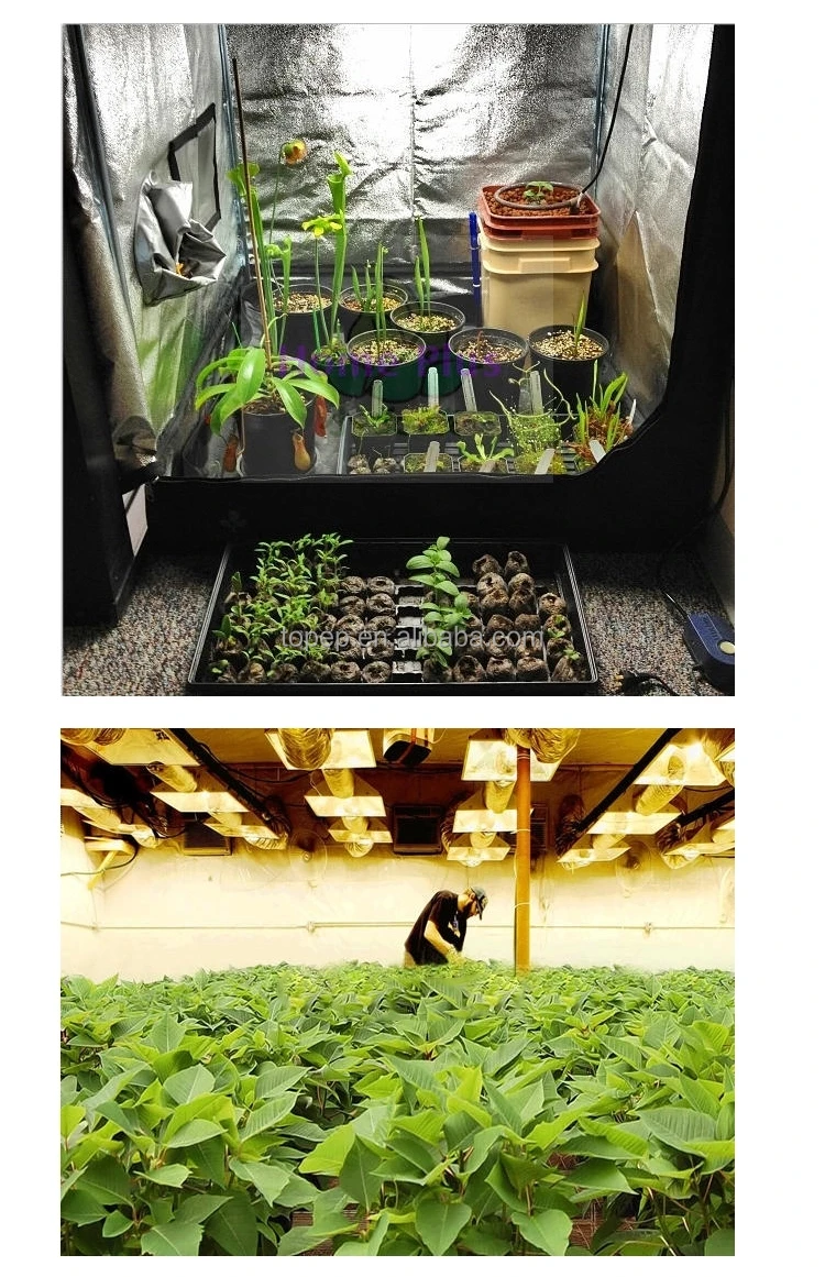 2023 Top Sale Hydroponic 6 Inch 8 Inch 10 Inch 12 Inch Grow System ...