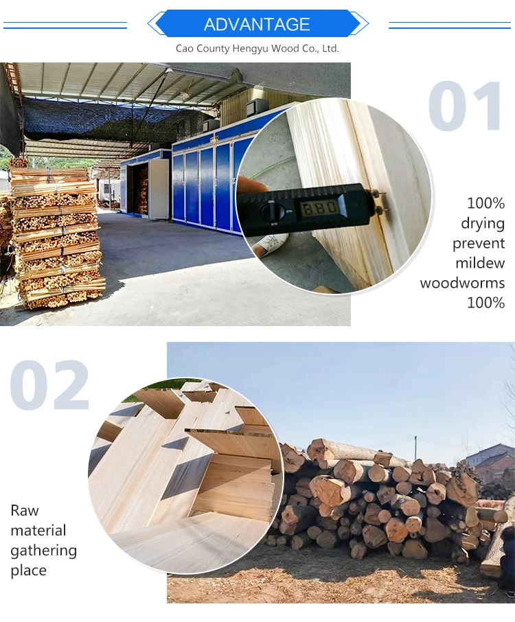 Balsa Wood Paulownia - Lightweight and Versatile Lumber