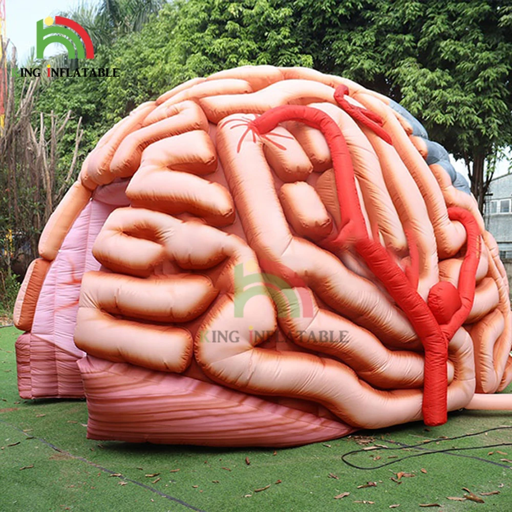 Inflatable Brain Tents for Medical Exhibitions - 14M Warranty