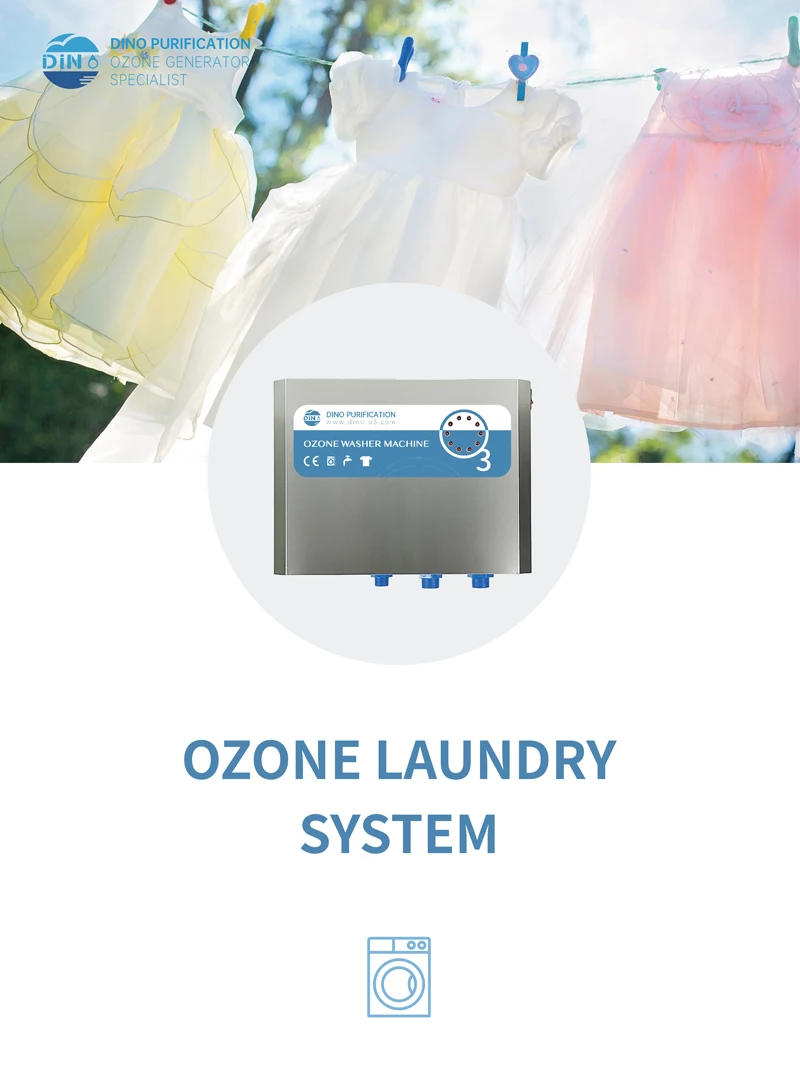 Dino Wall Mount Ozone Water System For Laundry 5g Ozone Generator For ...