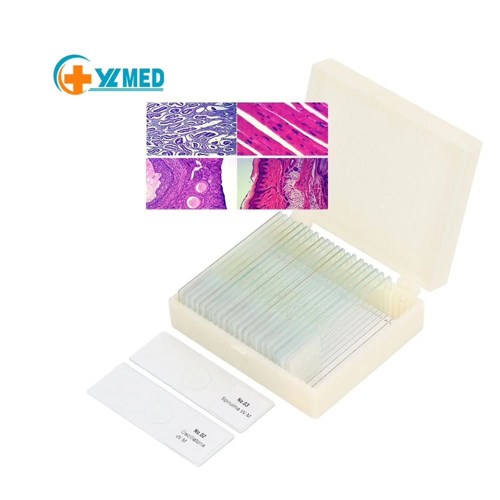 Prepared Glass Microscope Slides Educational Specimen with Chinese ...