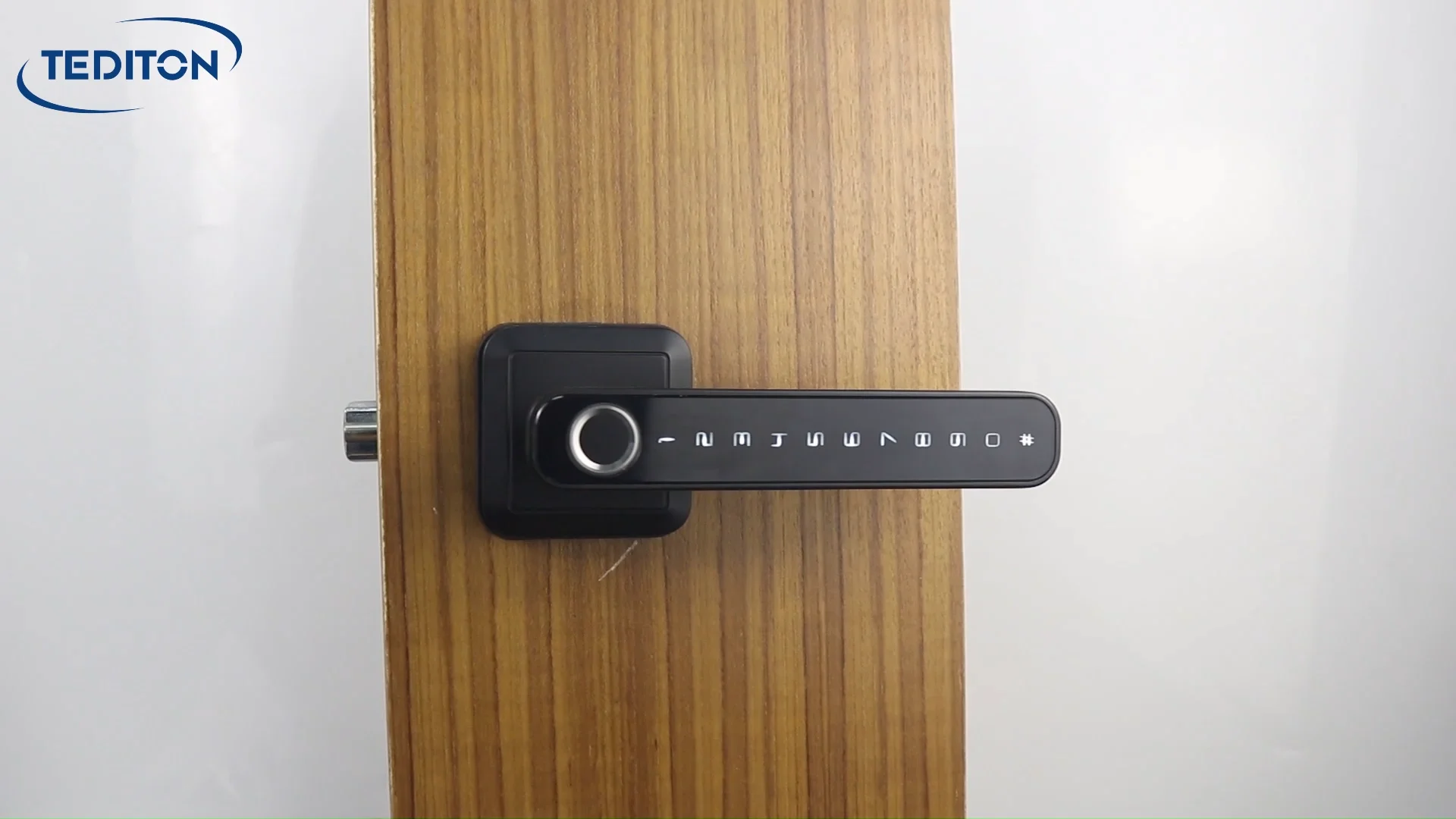 Tediton Wifi Mobile Phone Wooden Door Remotely Fingerprint Sensor ...