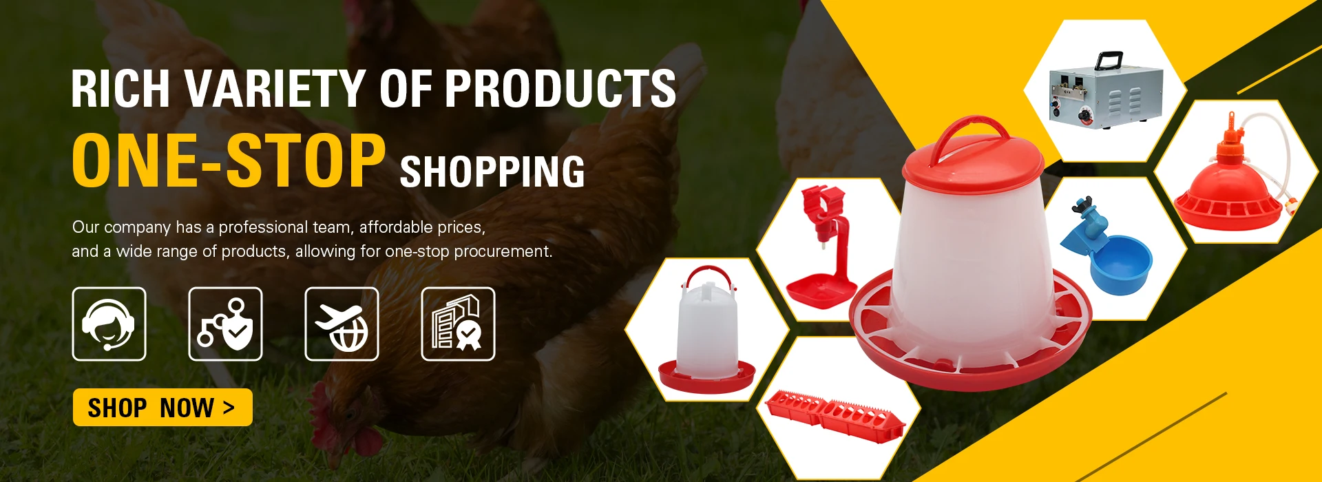Broiler Chicken Feeding System Poultry Farm Chicken House Feed Lines ...
