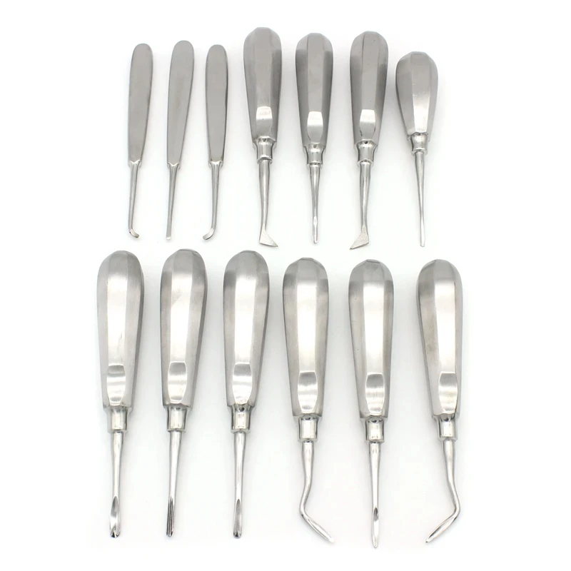 KyrenMed 13 PCS Dental Elevator Kit Stainless Steel Curved Root Lift Elevator Tools Hexagon ...