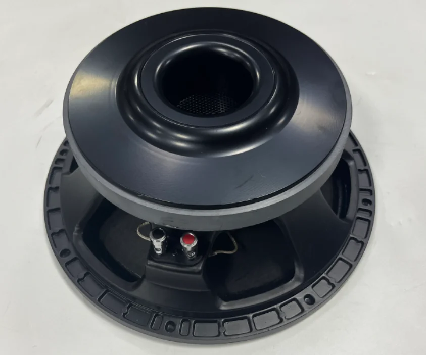 12 Inch Mid Bass 220 Mm Magnet 100 Mm Coil High Power Pa Woofer Speaker ...