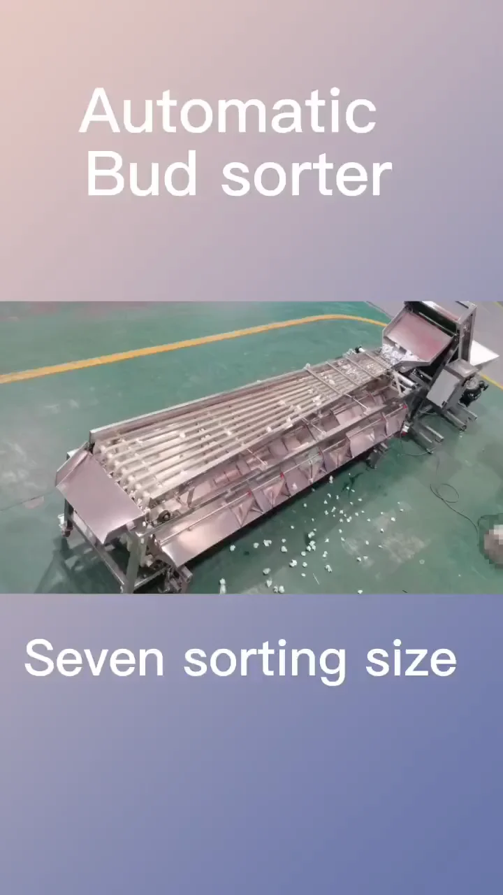 304 Stainless Steel Orbital Automatic Bud Sorter Carts For Fruit And ...