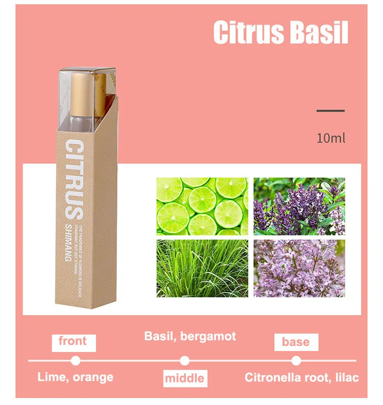 Perfume According to Mini Set Essential Oil Perfume Sample Bottles Mini ...