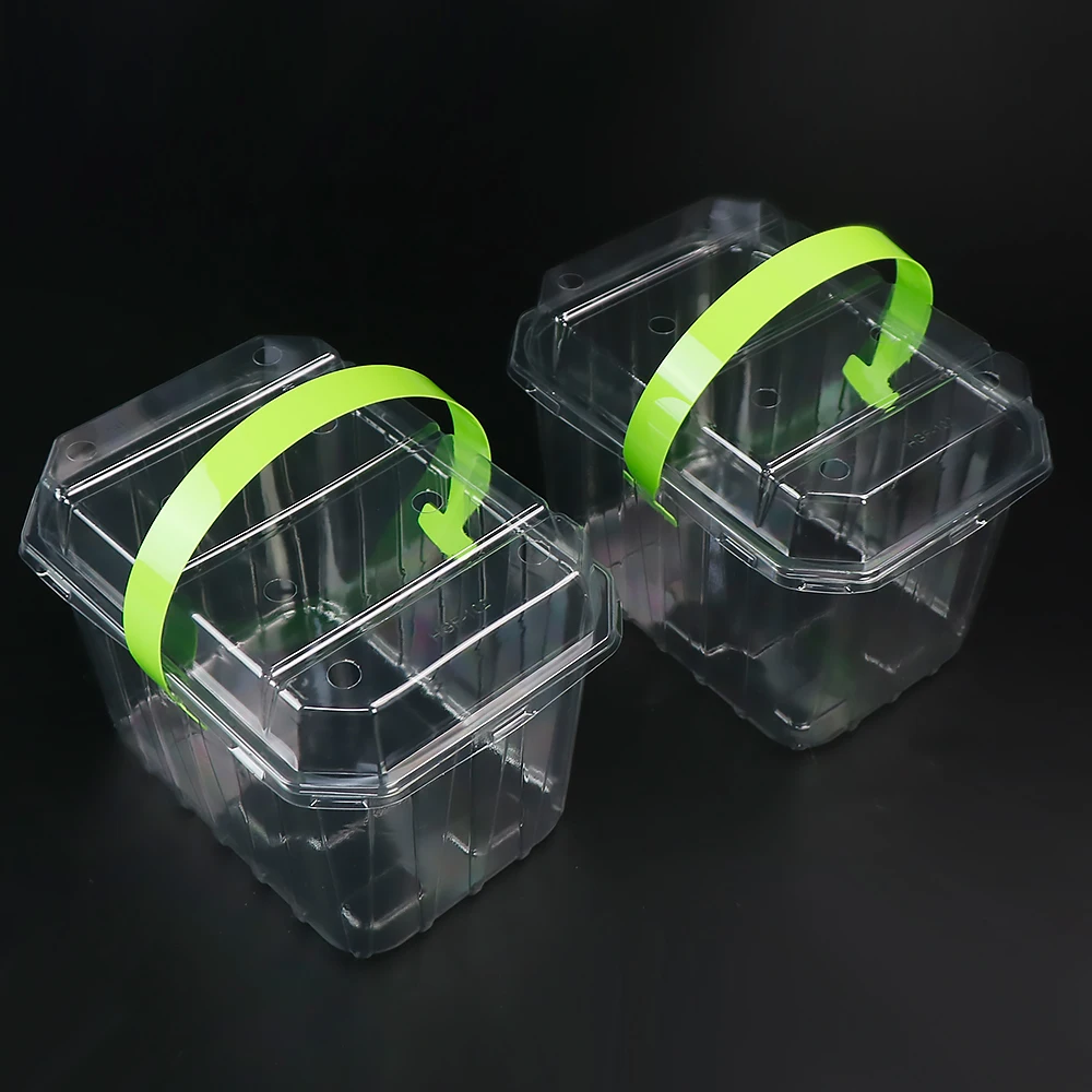 Transparent Plastic Cherry Tomato Packaging Box with Handle