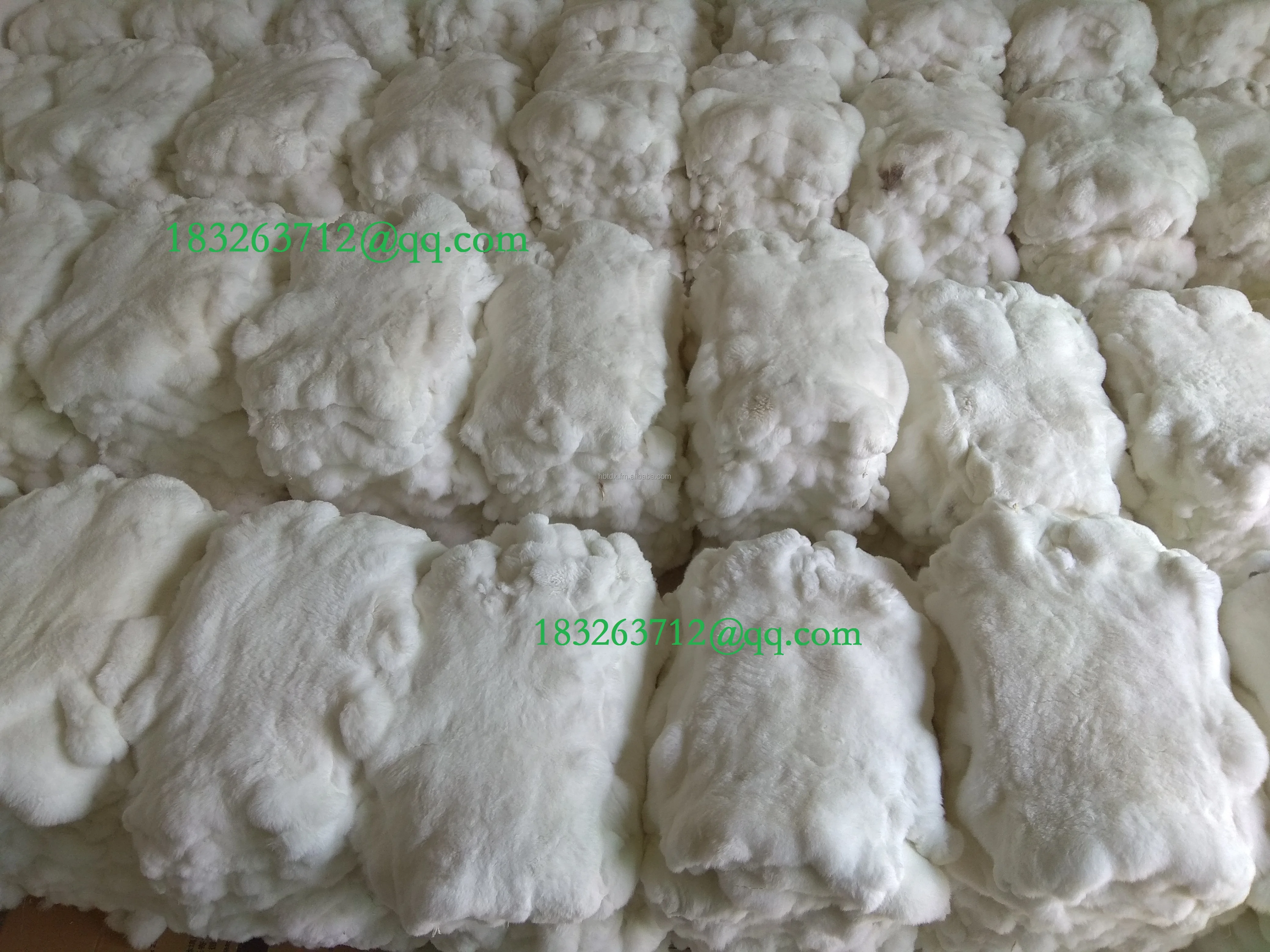 Rex Rabbit Fur Skins,Rex Rabbit Fur Plates,Rex Rabbit Fur Collars,Rex ...