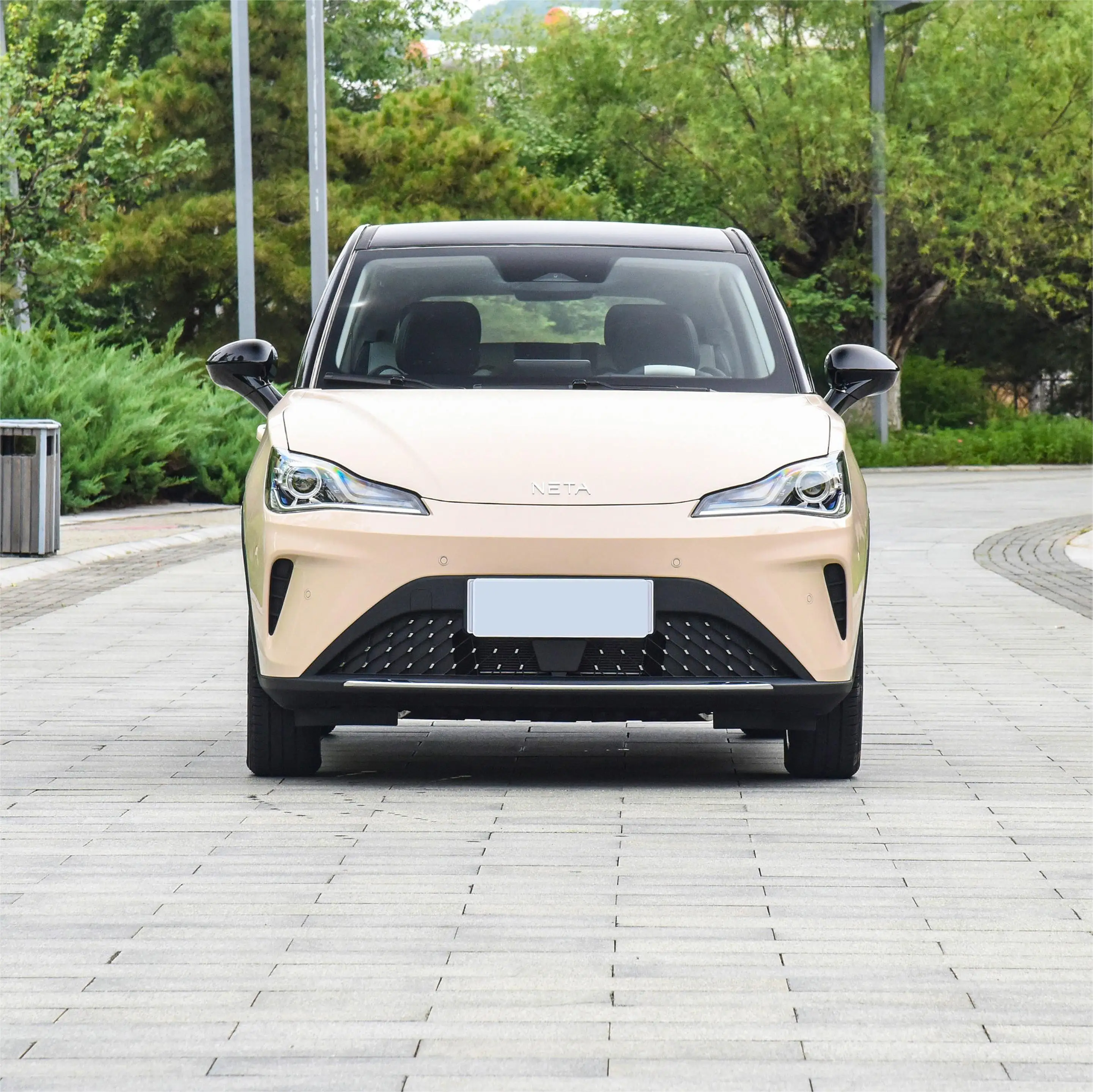 2024 Neta V New Energy Vehicles Cheap Neta Aya 401km Electric Cars Made In China - Buy Neta Aya ...