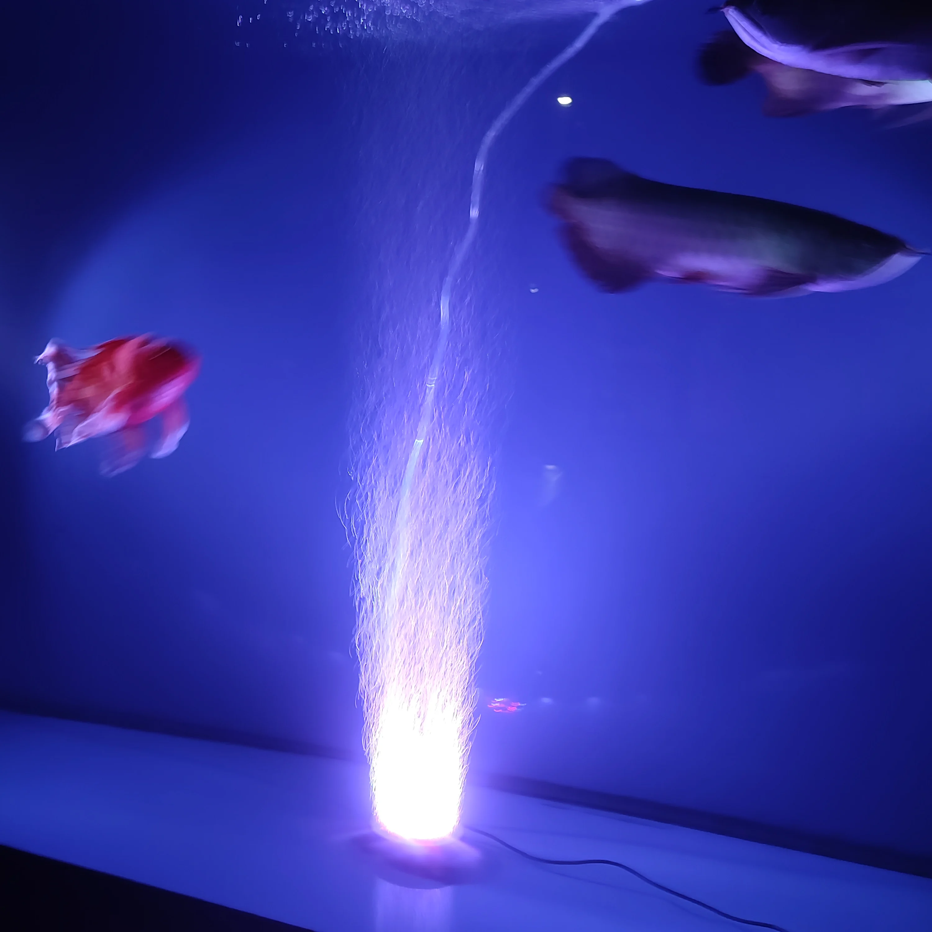 RGBW Color Changing Aquarium Lights TOPBRY Aquarium Bubble LED Lights ...