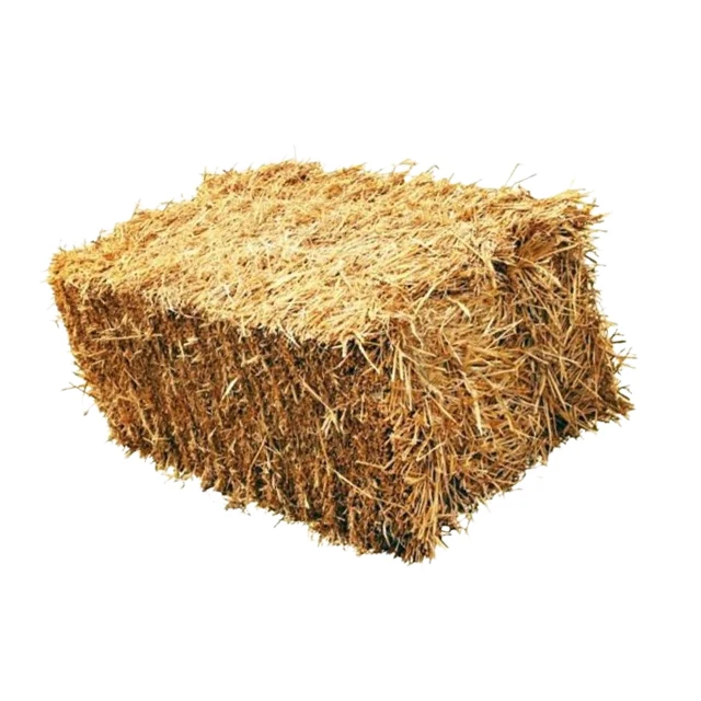 Block Of Straw From Rice Plants Made From Compressed Rice Cobs For Use ...