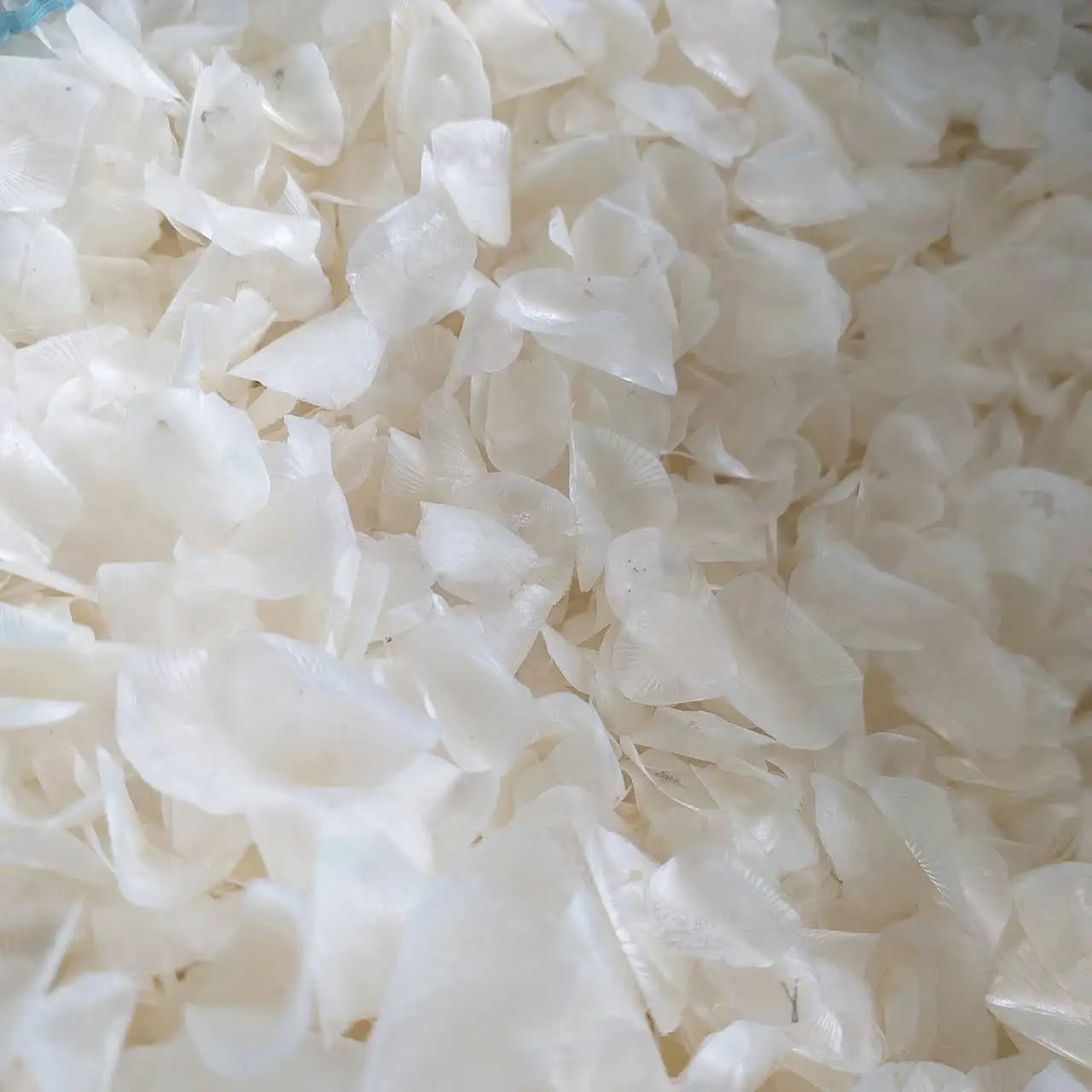 Wholesale Dried Fish Scales - Extract Collagen Efficiently