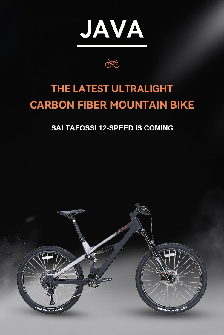 Java Saltafossi Mountain Bike - 12 Speed Carbon Fiber