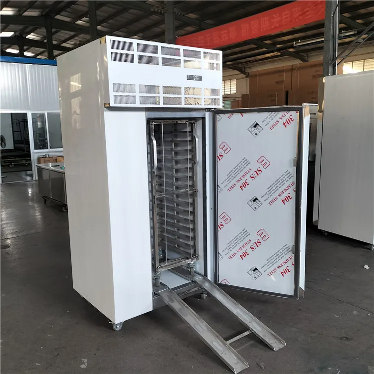 20 Trays Roll-In Trolley Inside Cold Storage Push Cart Blast Chiller ...