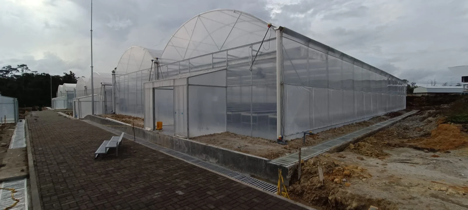 8x36m Large Commercial Serre Agricole Greenhouse PE Material Metal ...