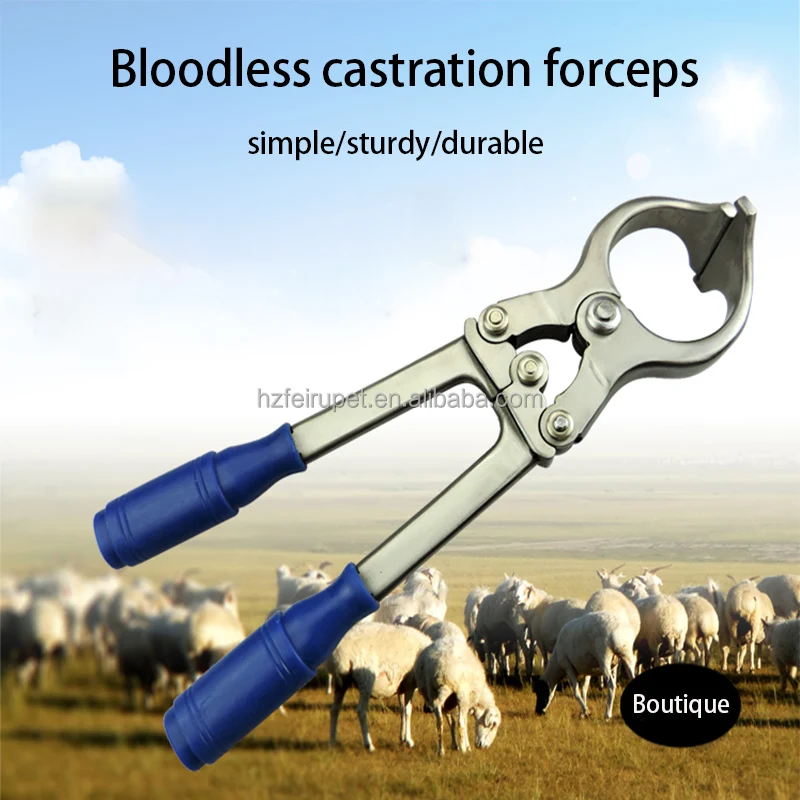Castration Pliers Stainless Steel Veterinary Bloodless Castration Professional Tools - Buy ...