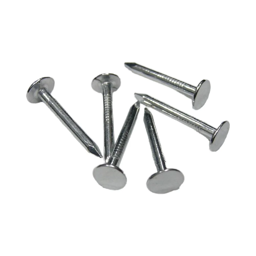 Eg Electro Galvanized Large Head Roofing Nails - Smooth Shank, Oem