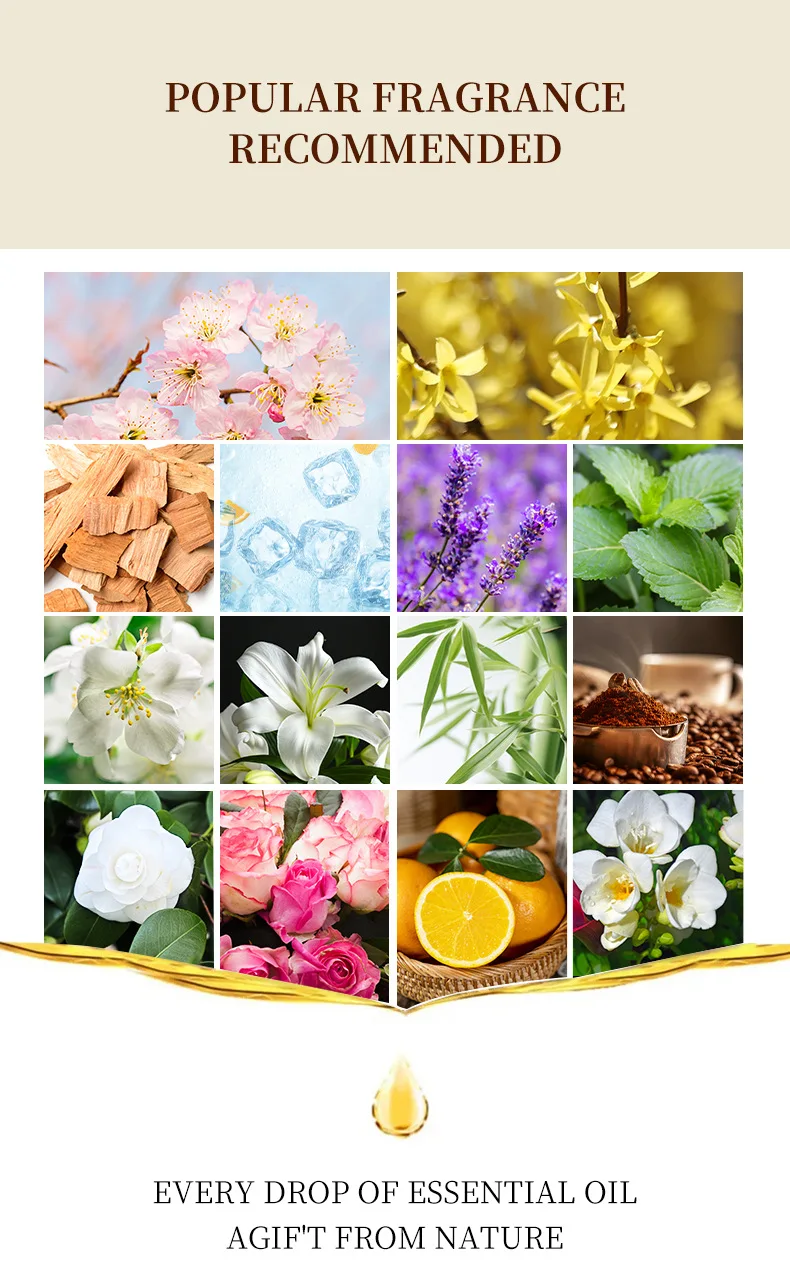 HANKEY Water-Soluble Glass Fragrance Oil Set with Lavender Scent for ...