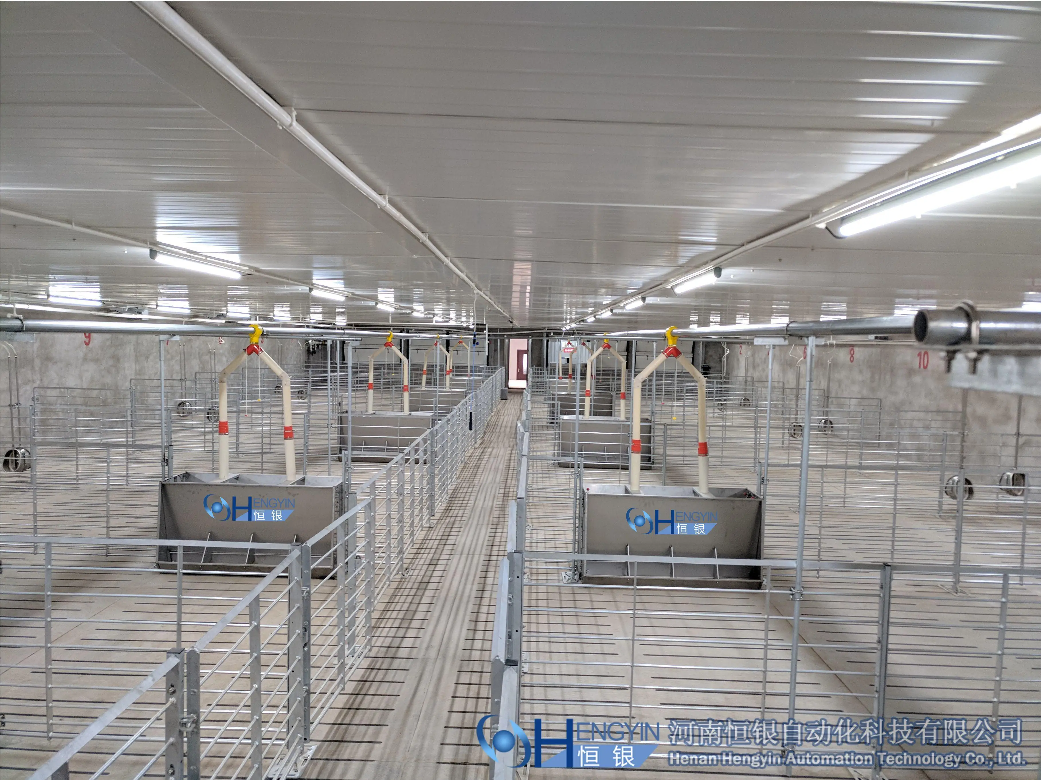 Piggery House Design Pig Pvc Fence Pen 2.4*1.8m Gestation Cage For Pig ...