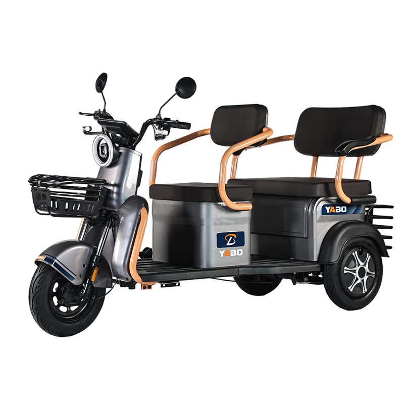 Electric Tricycles 800W Differential Dual-Wheel Drive Motor 300-10 ...