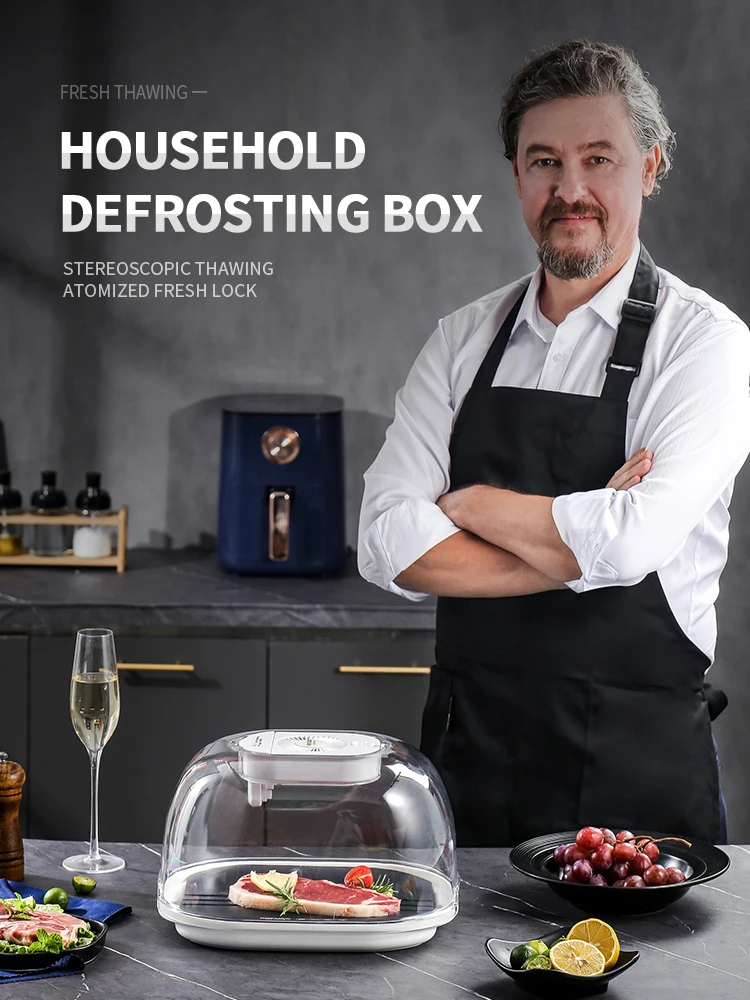 2022 New Defrosting Box For Faster Food De-icing Food-grade Meat ...