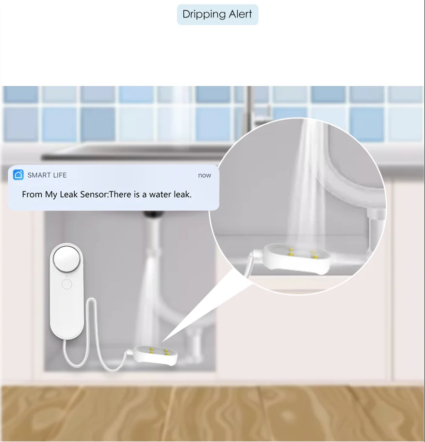 Alexa Water Leak Detector - Smart & Reliable Alarm System