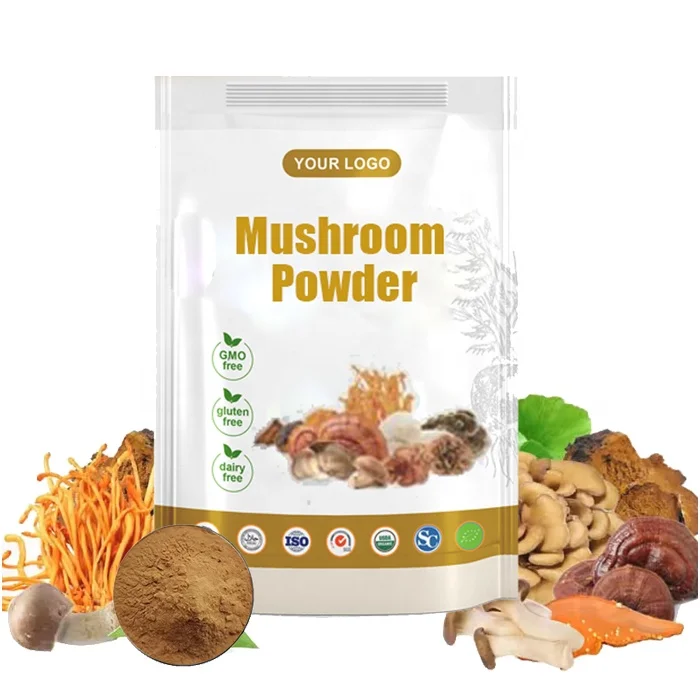 Organic Mushroom Extract Herbal Mushroom Protein Powder Mix Blend ...