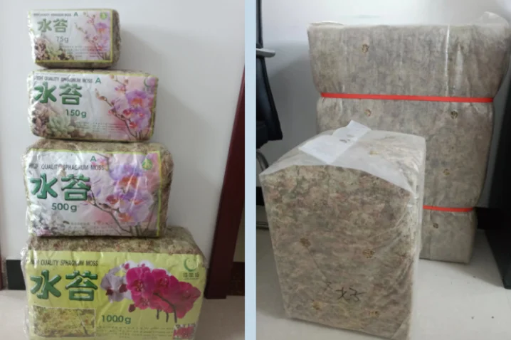 Oem Packing Sphagnum Moss For Potted Flowers Cultivation 75g Water Moss ...