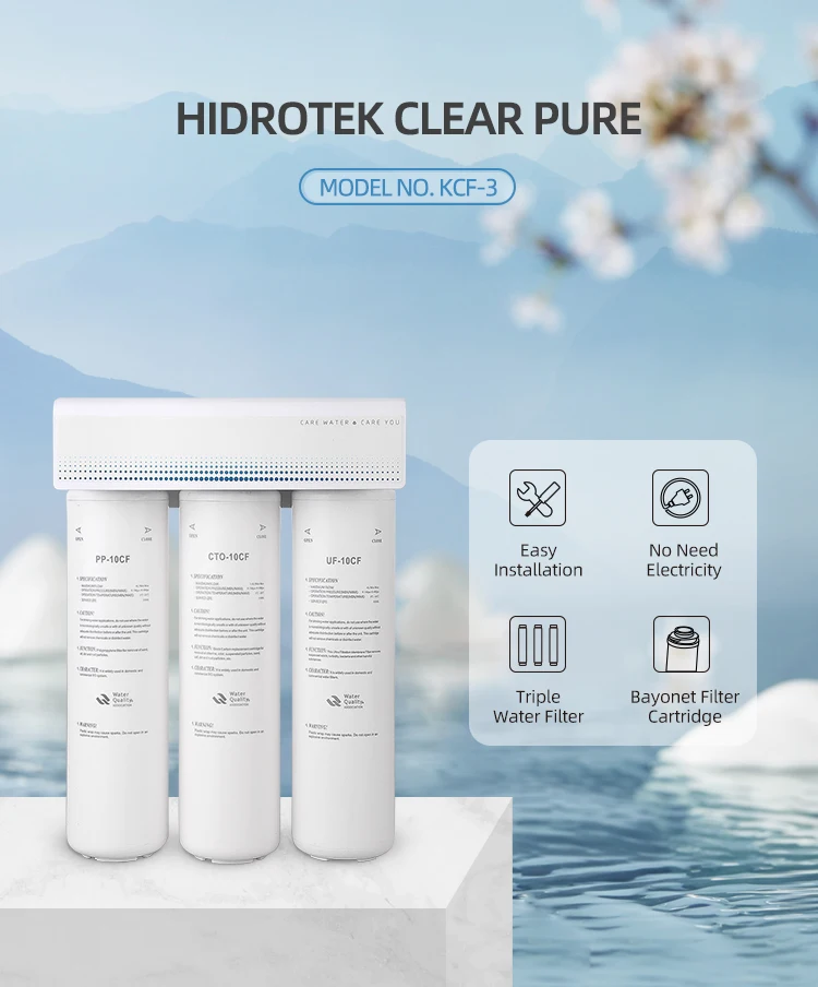 Drinking Mini Home Water Filtration System with Quick Change Filter