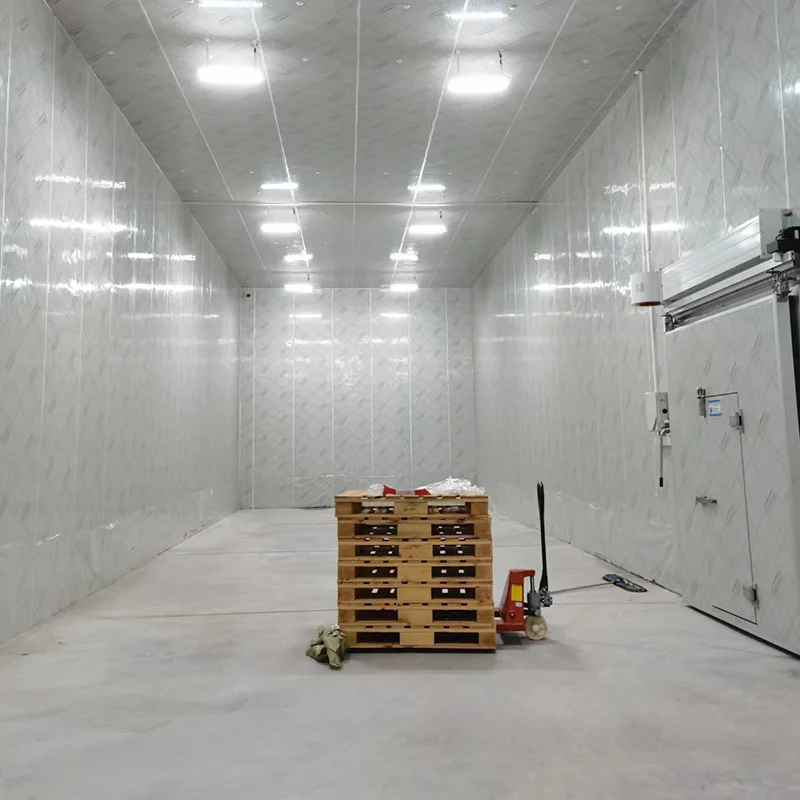 20ft Mobile Container Best Solar Power Cold Storage Room For Fish Meat ...