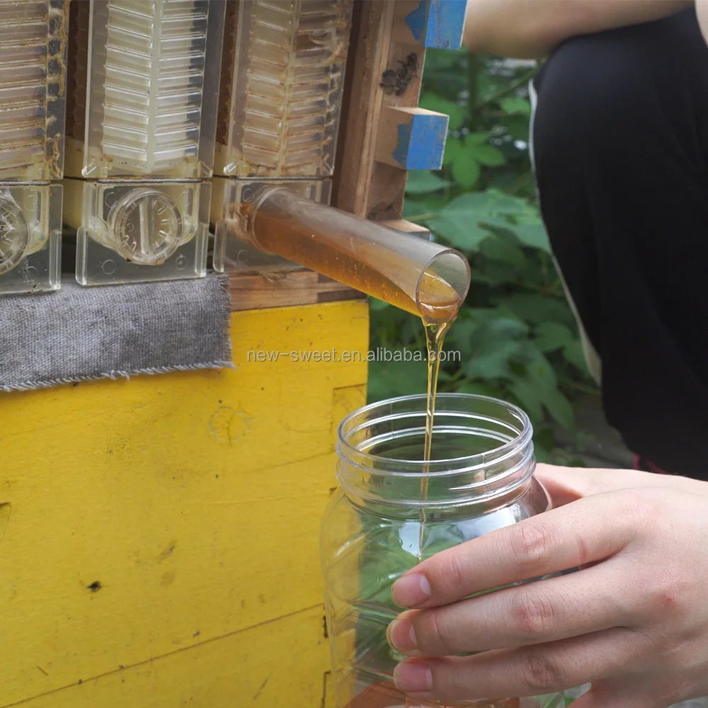 Honey Flowing Automatic Bee Hive Box Auto Flowing Bee Hive For Sale ...