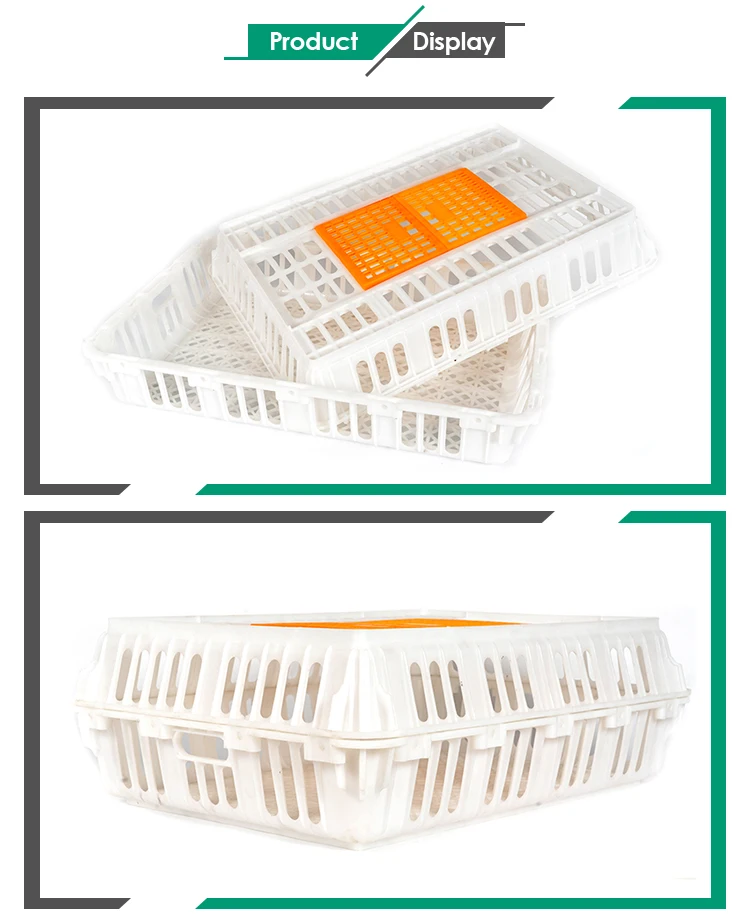 Plastic Stackable Chicken Cage Transport Crates For Sale Plastic Cages ...