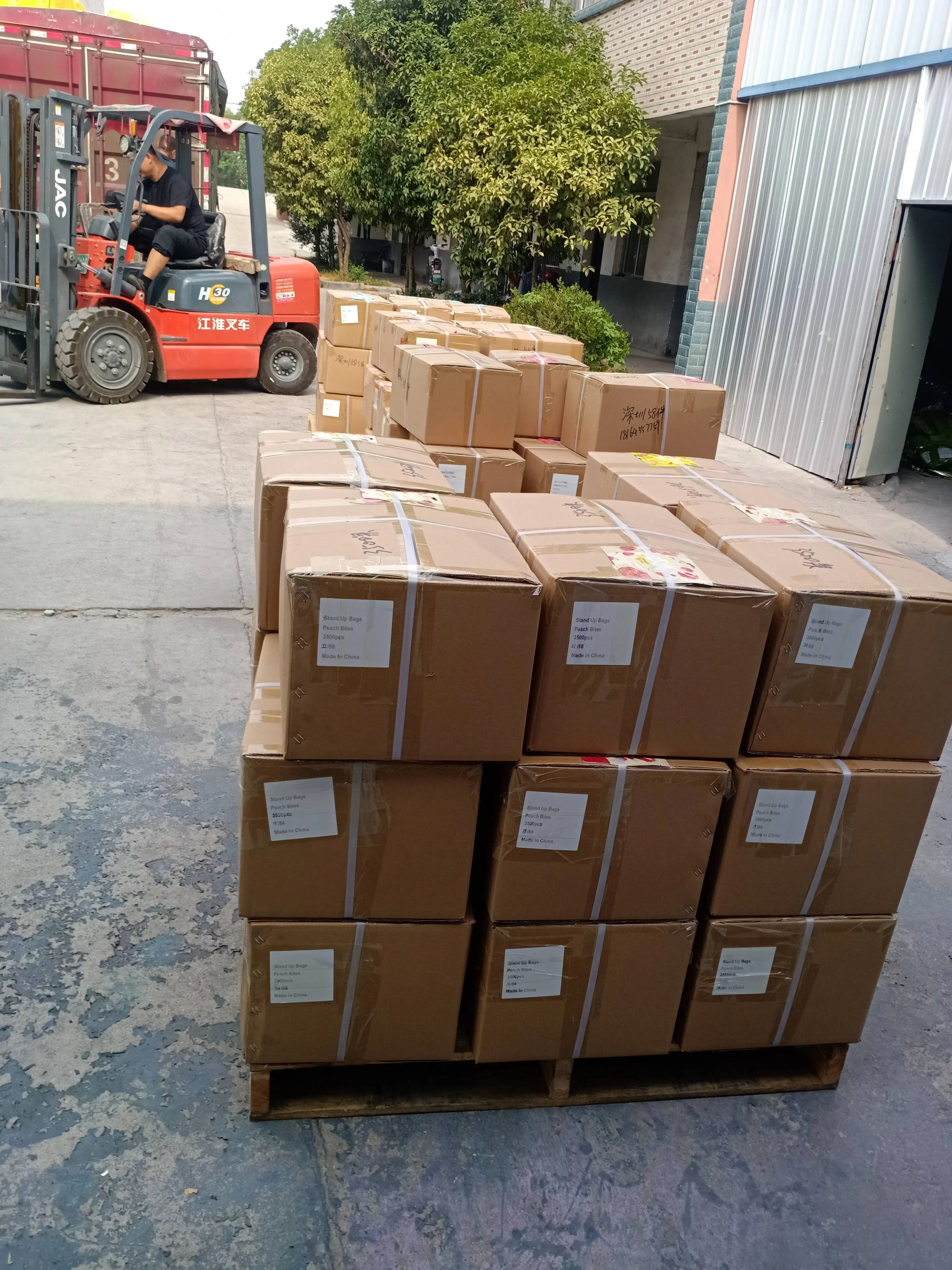 Custom Packaging Eco Friendly Plastic Shipping Express Poly Mailers ...