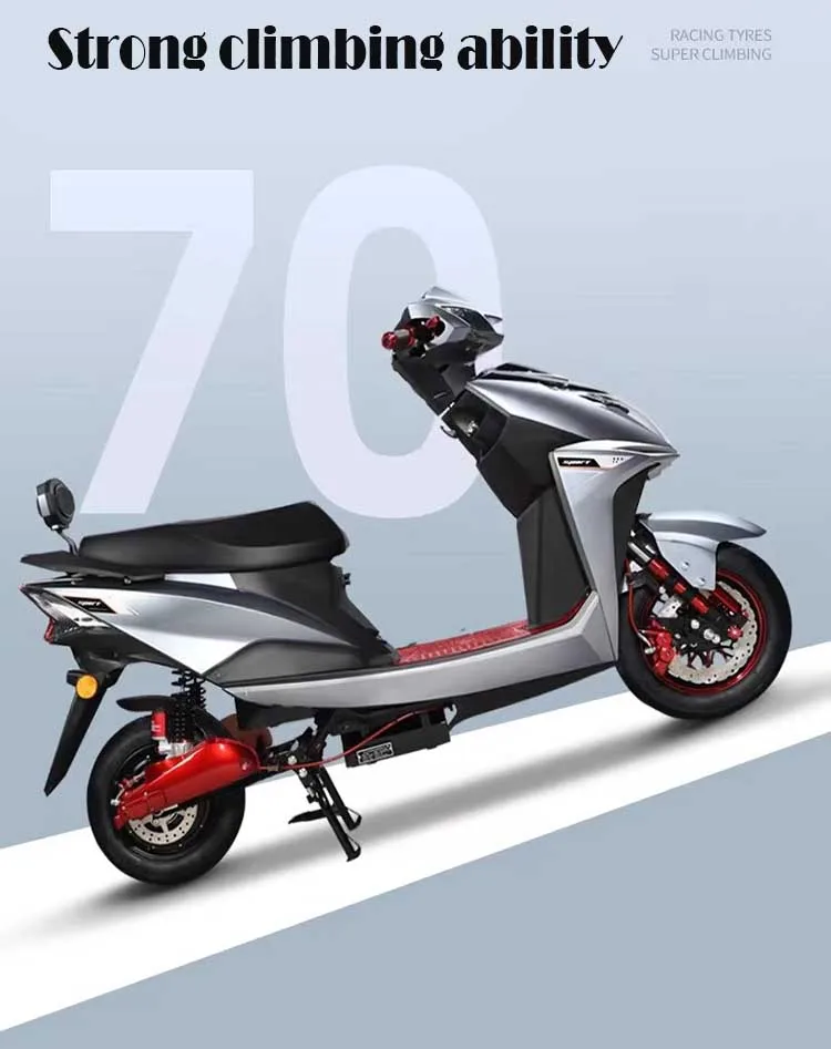 Y2-WG Electric Motorcycle - 800W Motorbike with 2 Seaters