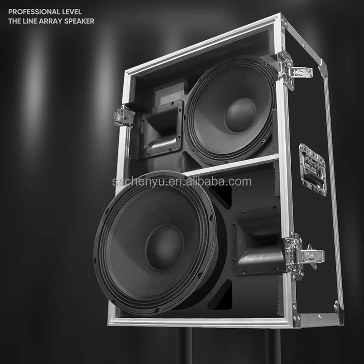 Professional Audio System - Dual 8 Inch Line Array Speakers