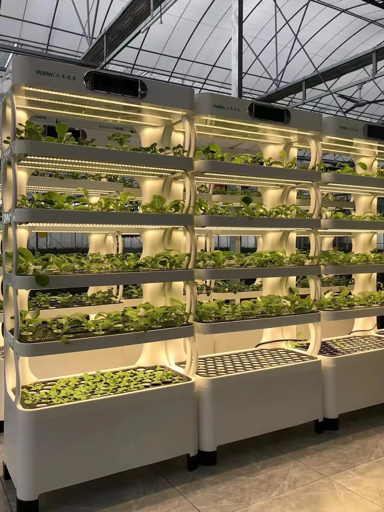 Indoor Vertical Growing Home System - Hydroponic Solutions