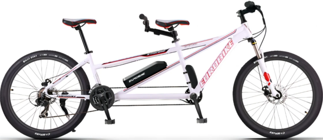 26" Dual Seat Electric Mountain Bike with 350W Lithium Battery, ODM