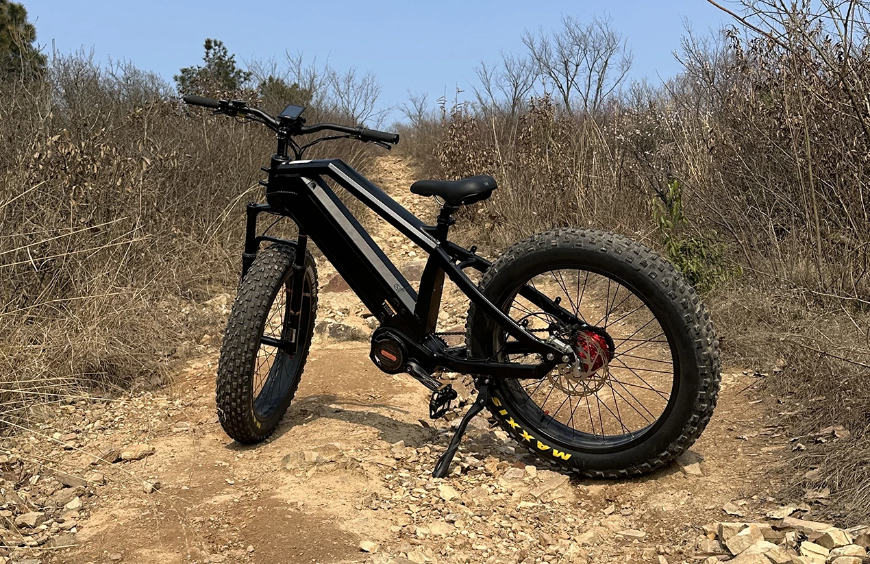 Step Through Electric Bike Women Ebike Electric City Bike With Bafang ...