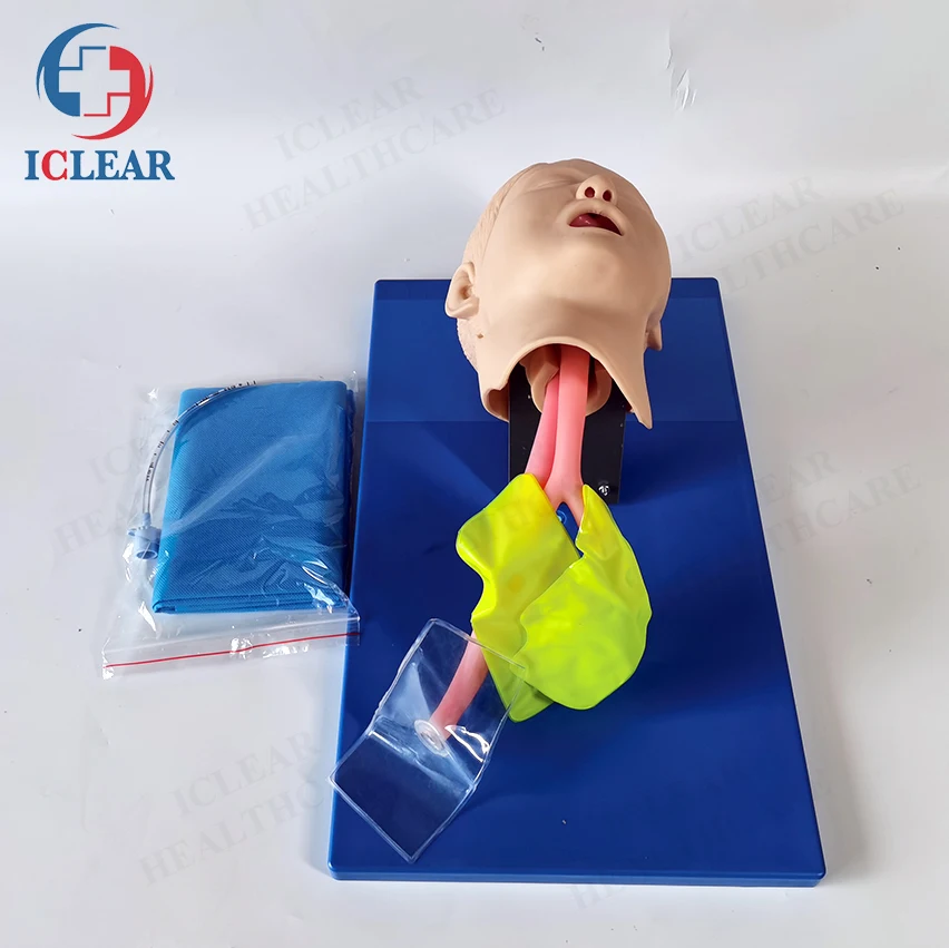 Soap Me Intubation - Training Manikin for Medical Students