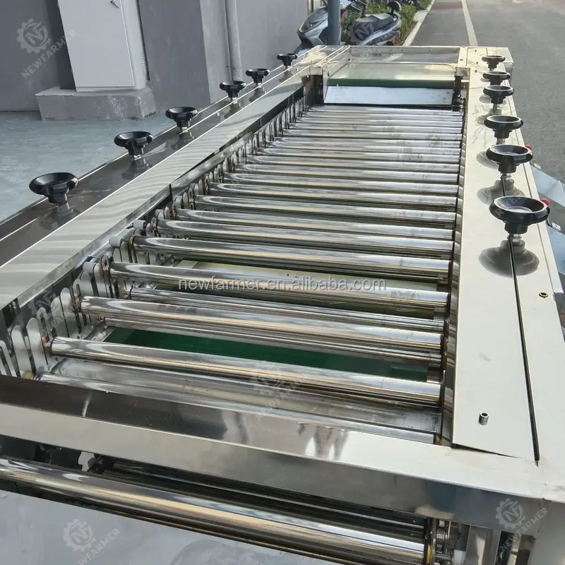Potato Sorting Grading Machine Roller Grading Machine apple Sorter Grader for Veg and Fruit ...