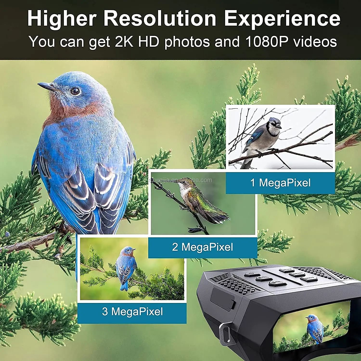 NODS Night Vision - Digital Binoculars for Complete Darkness