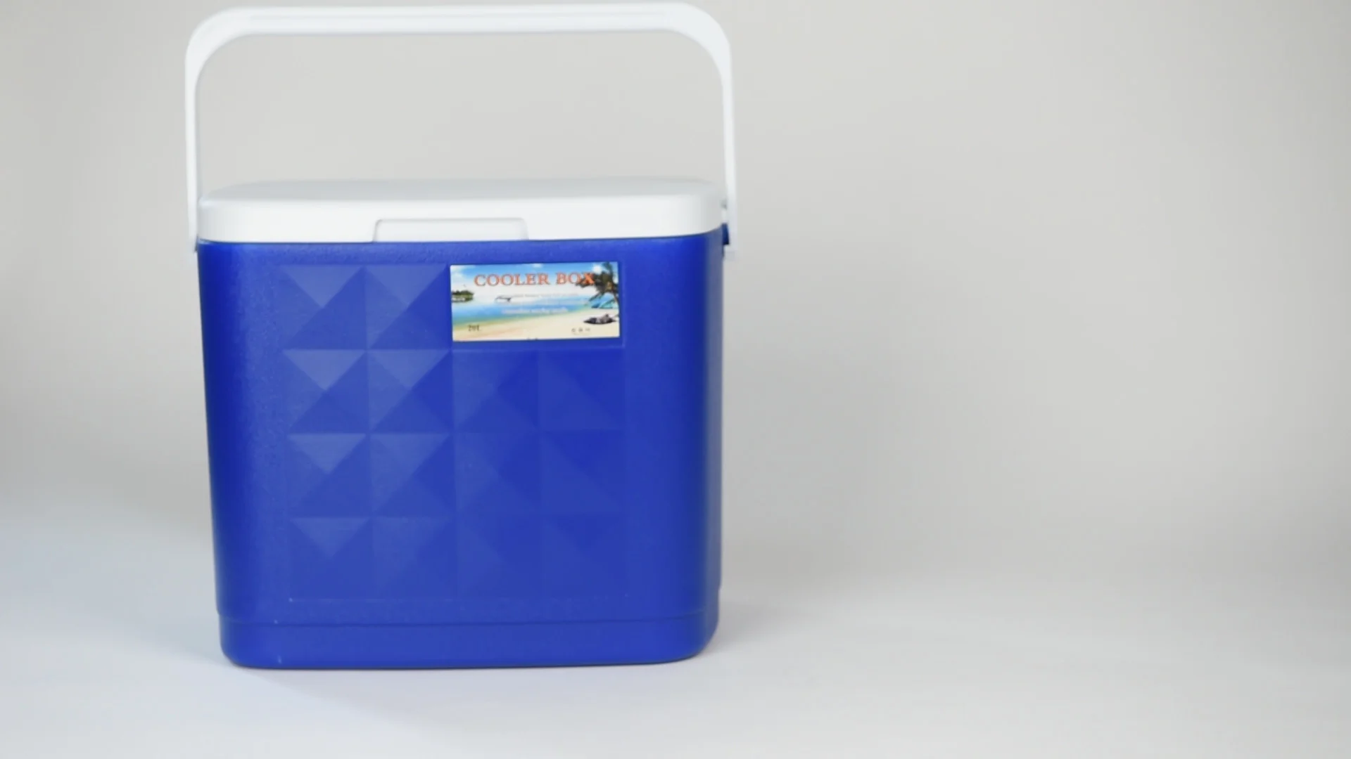 China Top Quality Ice Cooler Box Big Size Wireless Vaccine Smart ...