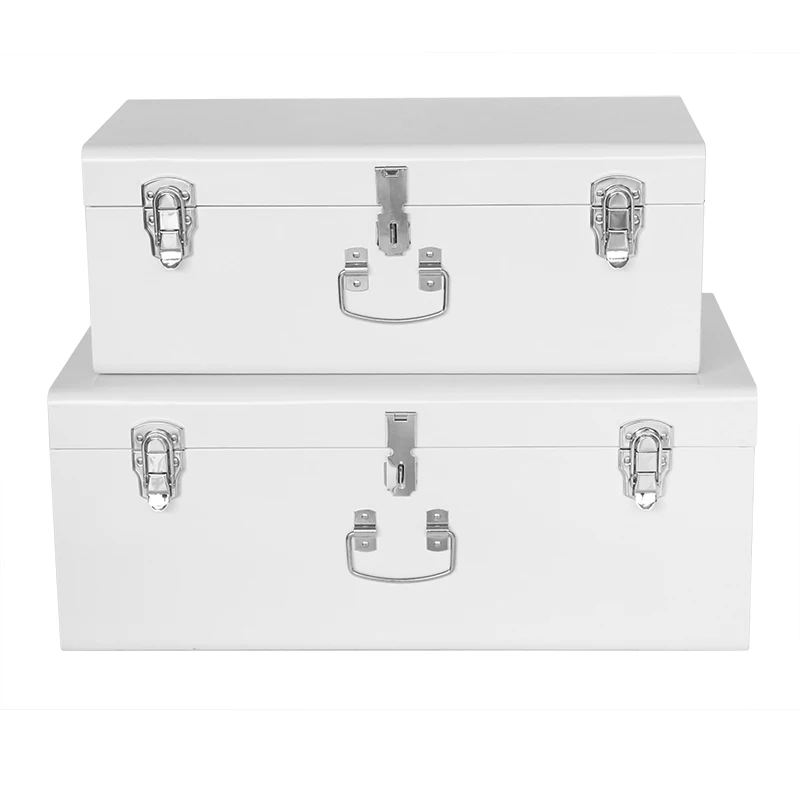 Custom Modern Set Of 2 Milky White Metal Storage Trunk Boxes For ...