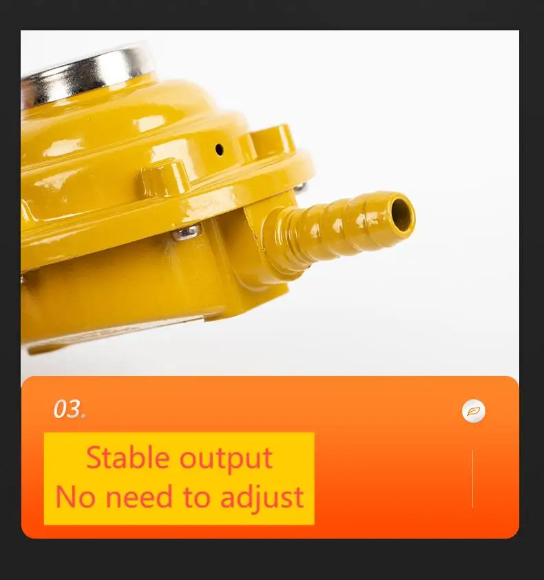 0.6 Pressure Reducing Valve - Reliable Gas Control Solutions