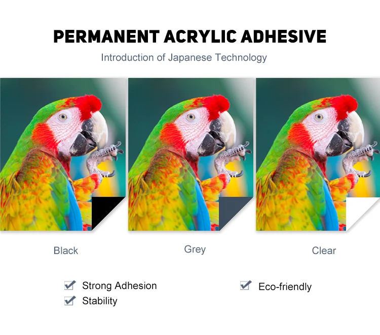 Glossy Matt White Eco Solvent Printing Pvc Printable Adhesive Car Wrap ...