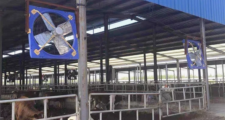 Excellent Airflow | Sinogreen Exhaust Fan For Cow Sheds Ventilation ...