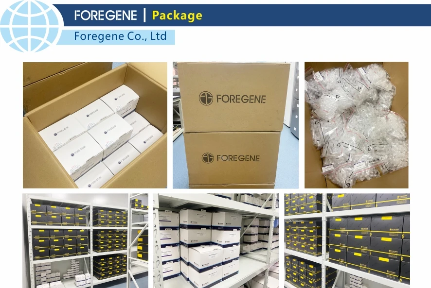 Multiplex Qpcr Real Time Pcr Premix Lab Kits - Buy Sybr Green Fast ...